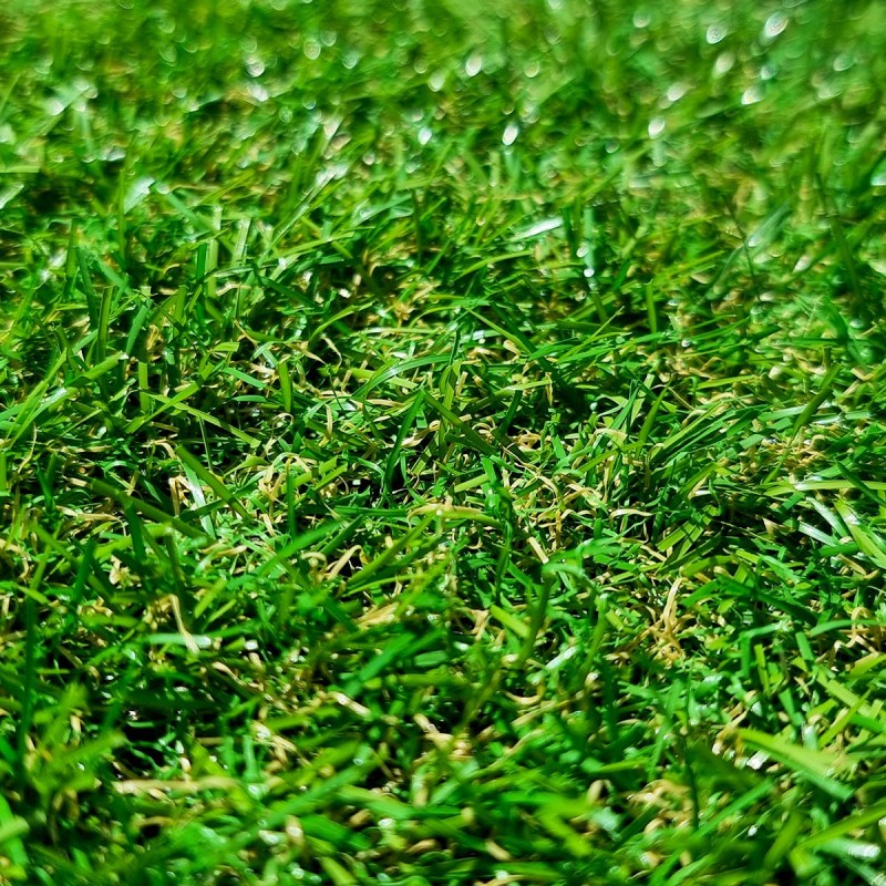 Gazon Synthétique et pelouse Artificiel pas Cher 22mm 2x17m soit 34m2
