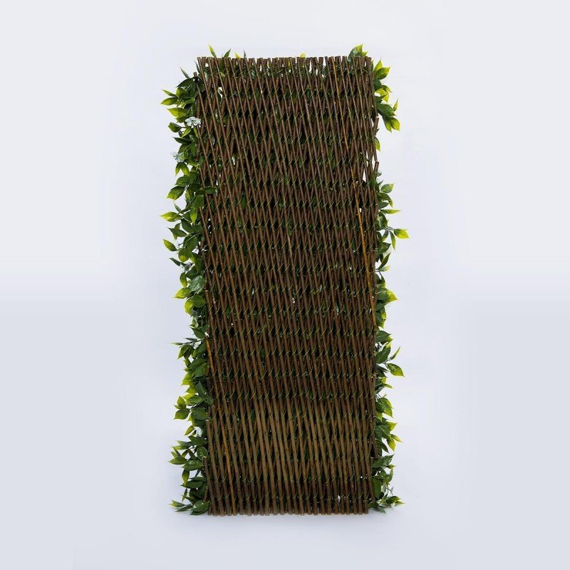 Treillis Bois Jardin Extensible Feuille de Photinia